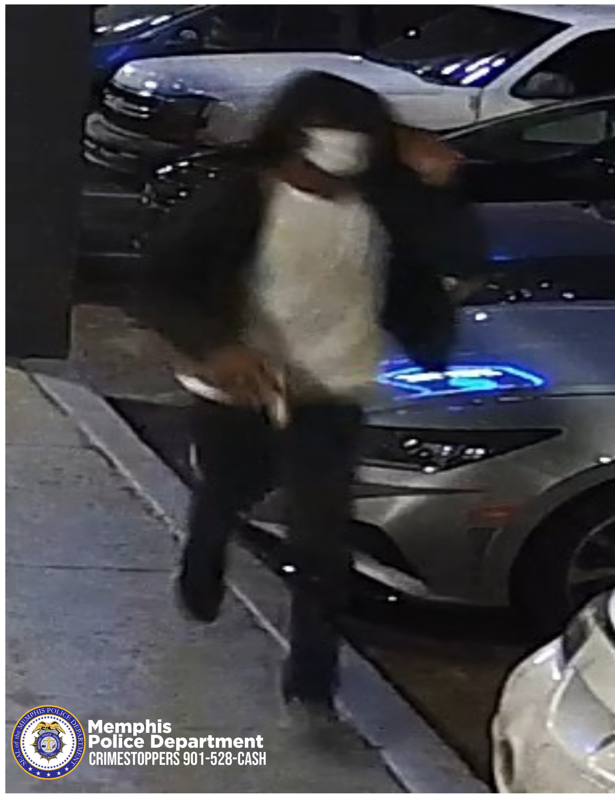 Aggravated Robbery: 1199 Linden Avenue - Memphis Police Department